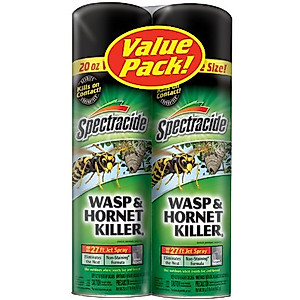 Spectracide 95865 Wasp And Hornet Killer Twin Pack
