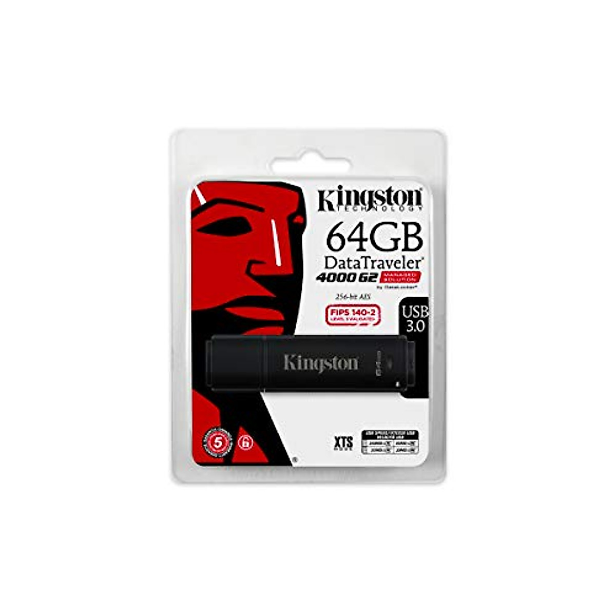 Kingston Digital 64GB USB 3.0 DT4000 G2 256 AES FIPS 140-2 Level 3 Encrypted (DT4000G2DM/64GB)