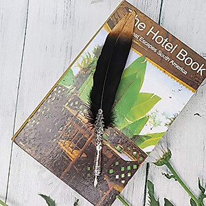 Serounder Quill Pen Set, Classical Calligraphy Fountain Pen Feather Quill Dip Pen Ink Bottle Set with Gift Box (Black)