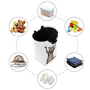 Tarity Funny Rock Raccoon Laundry Hamper 52L Large Laundry Baskets Oxford Collapsible Dirty Clothes Tote Storage Bag with Handles Foldable Washing Basket Bin for Bedroom Bathroom Closet