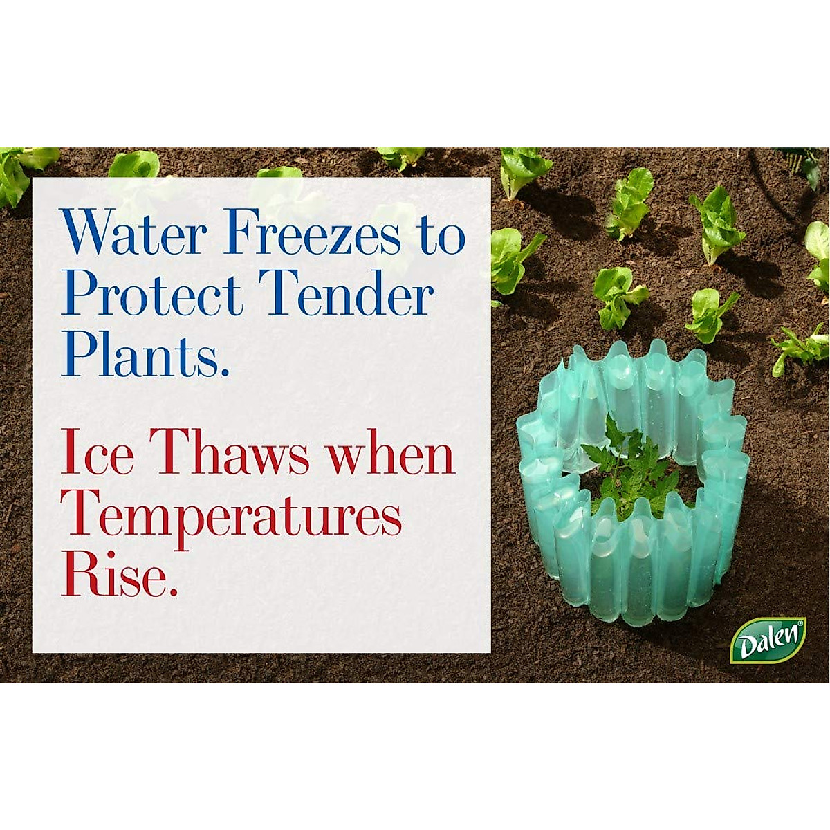Dalen Gardeneer Season Starter – Early Season Insulated Plant Protector – Cold Weather Frost Guard - Easy Fill Shape for Optimal Planting - 18" x 17" – Made in The USA