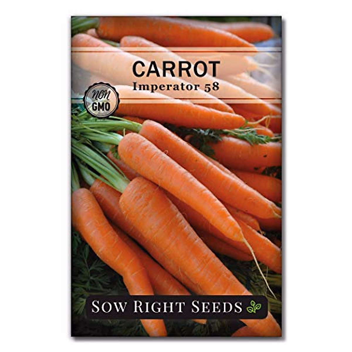 Sow Right Seeds - Imperator 58 Carrot Seed for Planting - Non-GMO Heirloom Packet with Instructions to Plant a Home Vegetable Garden - Indoors or Outdoors - Long Variety, Super Sweet (1)