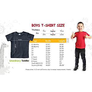 2nd Birthday Shirt boy Dinosaur rawr im 2 Toddler Two Year Old Second Dino Outfit (Charcoal Black, 2 Years)