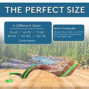 Shofar from Israel | KOSHER by Rabbinate of Jerusalem | Handcrafted | Holy Voice musical instruments | Kudu Shofar | 27-31 inch | Made In Israel By YOMTOV-SHALOM