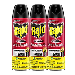 Raid Ant & Roach Killer Lemon Scent, 17.5 OZ (Pack - 3)