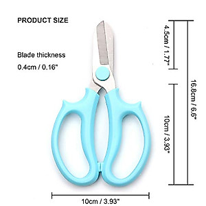 Jasni Garden Pruning Shears Scissors with Comfort Grip Handle, Premium Steel Professional Floral Scissors, Perfect for Arranging Flowers, Pruning, Trimming Plants, Gardening Tool (Blue)