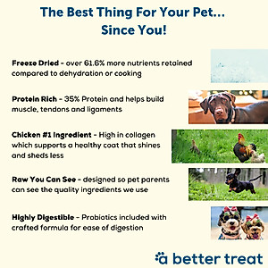 A Better Dog Food | Chicken Dry Dog Food | Raw You Can See | High Protein Kibble + Freeze Dried Raw Dog Food