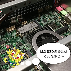 Sirius DSDPN-128G SSD 128GB PCIe NVMe