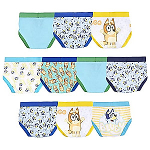 Bluey boys Underwear Multipack Briefs, Bluey10pk, 2-3T US