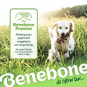 Benebone Fishbone Durable Dog Chew Toy for Aggressive Chewers, Real Fish, Made in USA, Large