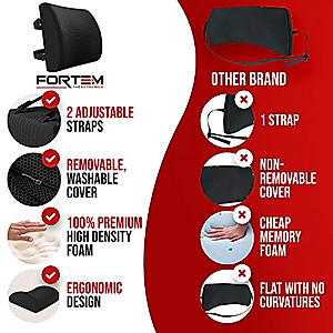 FORTEM Chair Seat Cushion (Mesh, Black) + Lumbar Support