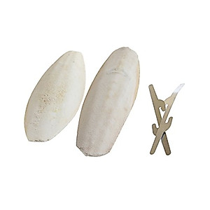 emours Natural Cuttlefish Bone for Reptiles, Tortoises, Tortoise, Snails, Birds and Small Animals, 4-5 inch, Twin Pack