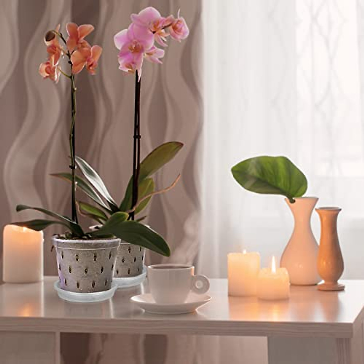 MFXIP 5.5 Inch 8 Pack Orchid Pots with Holes and Saucers, Clear Repotting, Plastic Plant Pot for Indoor Outdoor Flower Plants Gardening Pots