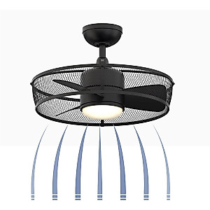 Fanimation FP8519BL Henry Fan-Light Kit, Black 14.33x22.09x22.09