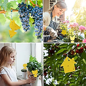 36 PCS Fruit Fly Trap Yellow Sticky Fungus Gnat Killer for Indoor and Outdoor Plant Insect Catcher for White Flies Mosquitos Fungus Gnats Flying Insects Houseplant Gift for Flower Lover