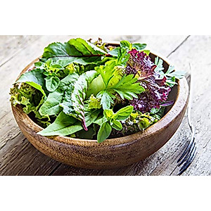 Lettuce Mix Seeds for Planting - Hydroponics - 500 Heirloom Seeds Variety Packet!