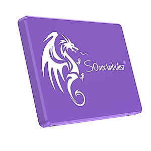 Somnambulist Internal Hard Drive SSD 60GB 120GB 240GB 960GB 2TB SATA3 2.5 inch SSD 480GB SSD (Purple Dragon 240GB)
