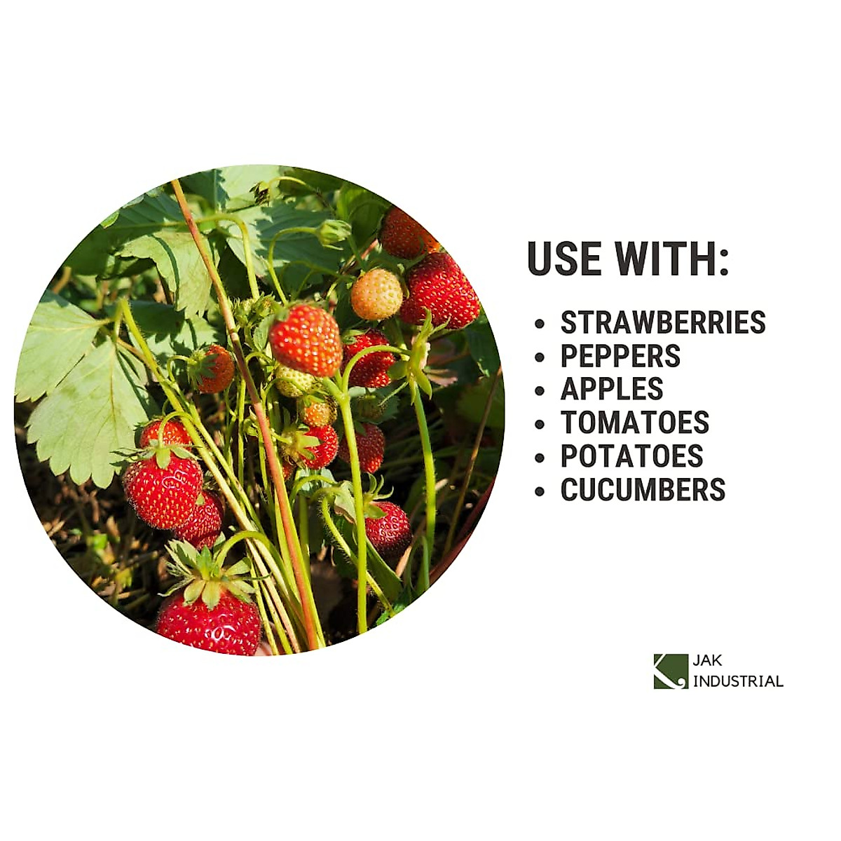 25 Pack Green Molded Pulp Fiber Berry/Produce 1.5 Quart Basket - Large Berry Basket