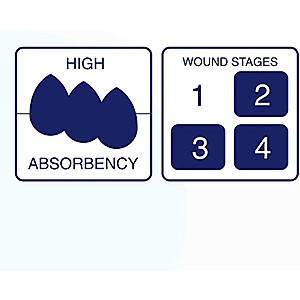 Silver Calcium Alginate Ag Sterile Highly Absorbent Antibacterial Dressing, 2"x2", 10 Pack
