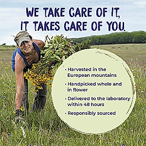 Boiron Arnicare Gel for Relief of Joint Pain, Muscle Pain, Muscle Soreness, and Swelling from Bruises or Injury - Non-greasy and Fragrance-Free - 4.2 oz