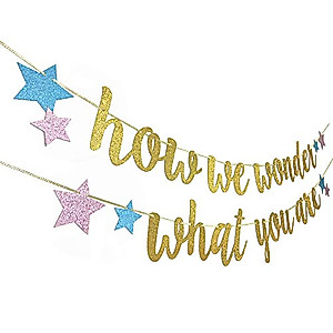 How We Wonder What Your are Glitter Banner Pre-Strung for Twinkle Twinkle Little Star Gender Reveal Party Decorations