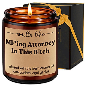 Fairy's Gift Candle, Lawyer Gifts for Women Men, Attorney Gifts - Law School Essentials, Bar Exam, Christmas, Lawyer Graduation Gifts, Law Student Gifts, Funny Gifts for Lawyers, Future Lawyer