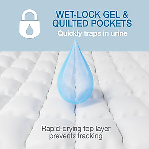 Four Paws Wee-Wee Superior Performance Eco Pee Pads for Dogs - Earth-Friendly Dog & Puppy Pads for Potty Training - Dog Housebreaking & Puppy Supplies - 22" x 23" (50 Count),White