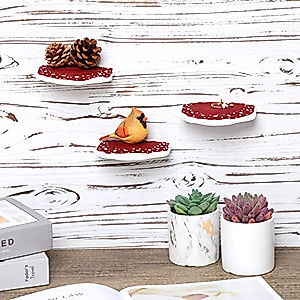 Tuitessine 3PCS Mushroom Wooden Floating Shelves Small Wall Mounted Storage Funny Hanging Bookshelf Living Room Bedroom Home Corner Picture Ledge Rustic Farmhouse Fungis Kitchen Bathroom Decor