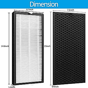 XD6065 Activated Carbon & XD6075 True HEPA Replacement Filter, Compatible with Rowenta PU4020 Intense Pure Air Purifiers, 1 Carbon Odor Eliminator & 1 True HEPA Allergen Remover