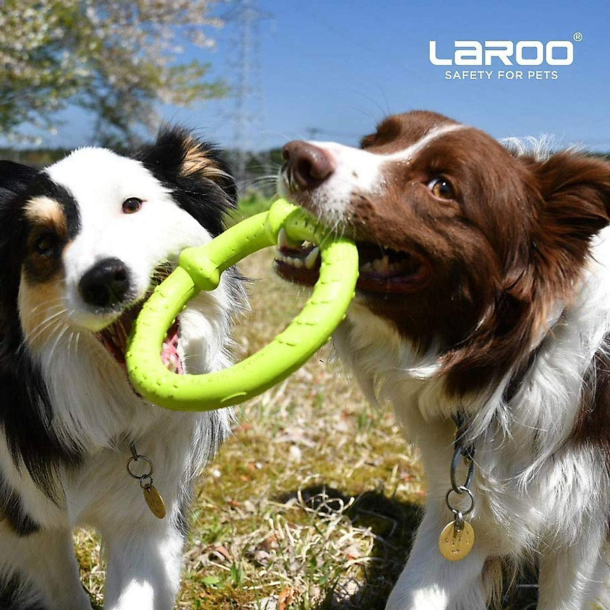LaRoo Dog Toys for Aggressive Chewers,Floatable Dog Flying Disc,3 Sizes Dog Tug Toy,Interactive Dog Toys