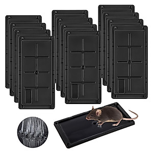 Qualirey 12 Pack Glue Traps for Rats and Snakes, Larger and Heavy Duty Baited Sticky Traps with Non Toxic Glue, Exterminator Plastic Mouse Indoor Board, Ready to Use, Safe to Children and Pets (Black)