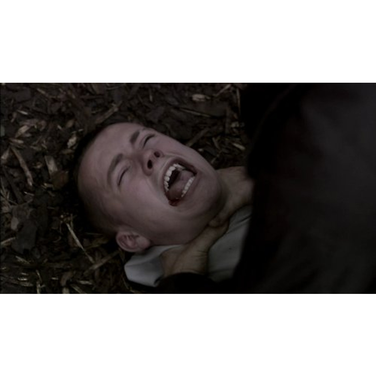 Backwood Torture [Import allemand]