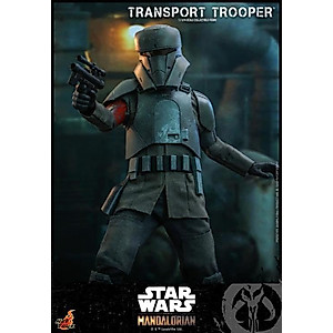Hot Toys 1:6 Transport Trooper - The Mandalorian