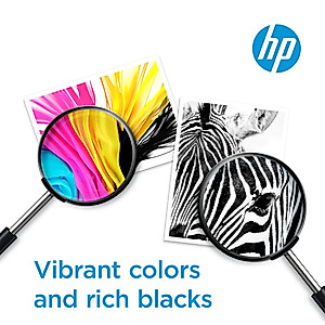 Original HP 564XL Cyan High-yield Ink | Works with DeskJet 3500; OfficeJet 4620; PhotoSmart B8550, C6300, D5400, D7560, 5510, 5520, 6510, 6520, 7510, 7520, Plus, Premium, eStation Series | CB323WN