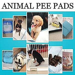 kathson Rabbit Pee Pads Disposable Cage Liners Super Absorbent Black Carbon Odor-Control Bunny Training Pad with Quick-Dry Surface for Bunny Guinea Pig Kitten Hedgehog Small Animals (100 pcs Gray)