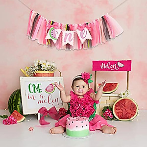 Watermelon High Chair Banner - One in A Melon Watermelon Theme,Pink Watermelon,Watermelon Party Decorations,Smash Cake Photo Prop Backdrop,Girls Firs,Summer Fruit Theme Watermelon First Birthday Party Decorations