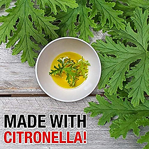 Green Gobbler Fruit Fly Goodbye Gel Drain Treatment | Drain Fly Killer | Fruit Fly Killer | Drain Flies Treatment | Fruit Flies Treatment | Drain Fly & Fruit Fly Eliminator (32 oz)