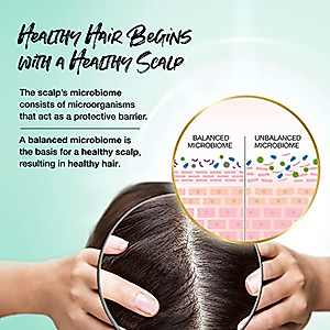 Biotera Moisturizing Shampoo | Hydrates & Moisturizes Dry, Medium, Fine Hair | Microbiome Friendly | Vegan & Cruelty Free | Paraben Free | Color-Safe | 32 Fl Oz