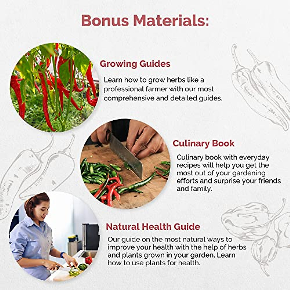 13 Rare Hot Chili Pepper Seeds Variety Pack for Planting Indoor & Outdoors. 650+ Non-GMO Bulk Pepper Garden Seeds Kit: Jalapeno, Cayenne, Serrano, Habanero, Pasilla Bajio, Santa Fe, Fresno & More