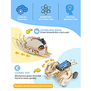 Poraxy 5 Set STEM Kits for Kids Ages 8-10, Toys for Ages 8-13, 3D Wooden Puzzles, Educational Engineering Arts Crafts Science Building Kits, Gifts for Boys and Girls 7 8 9 10 11 12 13 Year Old