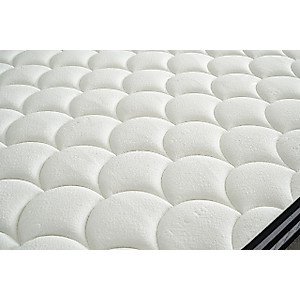 Container Furniture Direct Hybrid 12 Inch Queen Mattress in a Box, Pillow Top Bed Cushion with Gel Infused Memory Foam, Breathable and Hypoallergenic, Medium Firm for Lumbar Support