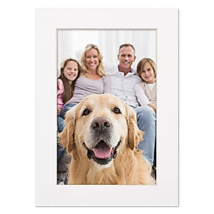 11x14 Mat for 12x16 Frame - Precut Mat Board Acid-Free White 11x14 Photo Matte Made to Fit a 12x16 Picture Frame, Premium Matboard for Family Photos, Show Kits, Art, Picture Framing, Pack of 1 Mat