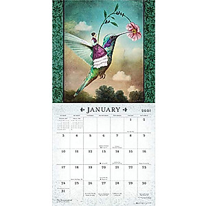 The Curious World of Catrin Welz-Stein 2021 Calendar