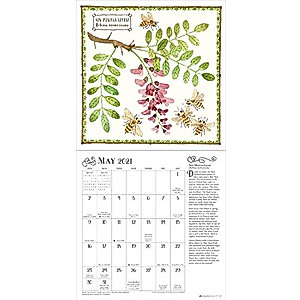 Backyard Foraging 2021 Calendar: Discover Edible Plants and Kitchen Inspiration