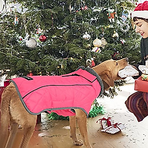 Fragralley Dog Winter Coat Jacket - Reflective Adjustable Windproof Dog Turtleneck Clothes, Doggie Cold Weather Vest, Warm Fleece Lining Puppy Snow Coat for Small Medium Large Dogs (Large, Pink)