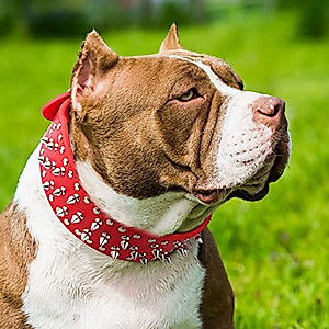 Epesiri Adjustable Wide Spiked Dog Collar, Mushroom Rivet PU Leather Cat Dog Collars, Durable Spike Studded Pet Collar for Small Medium Large Breed, PitBull Mastiff Bulldog Pugs Husky Rottweiler Black