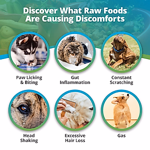 5Strands Pet Raw Food Intolerance Test, at Home Sensitivity Test for Dogs & Cats, 315 Items, Hair Analysis, Accurate for All Ages and Breed, Results in 5 Days - Chicken, Beef, Duck