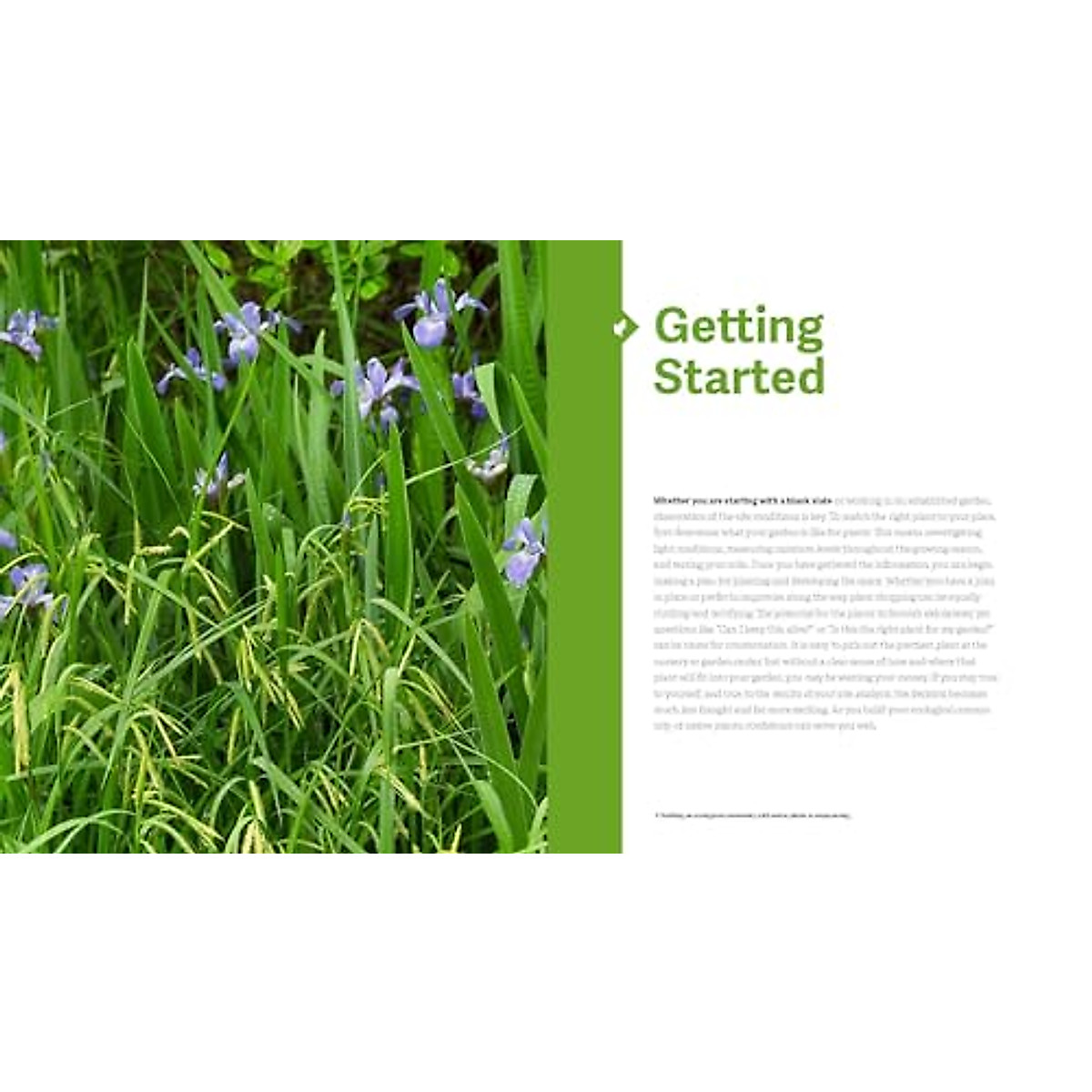 The Northeast Native Plant Primer: 235 Plants for an Earth-Friendly Garden