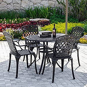 Withniture Outdoor 2 Piece Cast Aluminum Patio Chairs, Metal Patio Chairs with Armrests, All Weather Outdoor Dining Chairs,Patio Seating,for Balcony, Backyard, Garden, Bronze