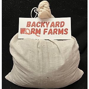 Red Wiggler Composting Worms - Reduce Waste and Improve Your Soil (0.25 lbs / ~250 worms)